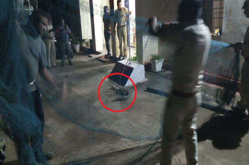 Edited By : Deepak Dilliwar Modified Date: November 29, 2022 / 08:45 PM IST , Published Date ...