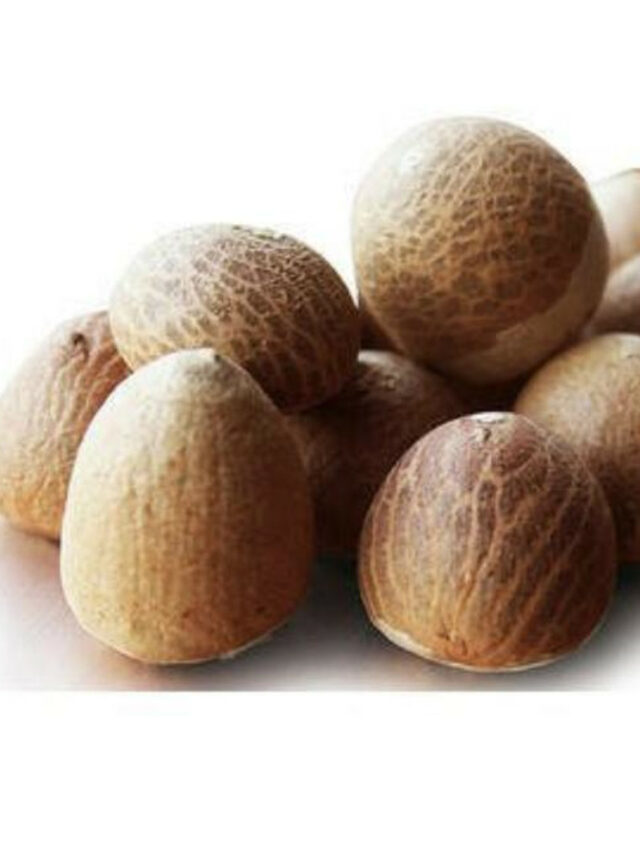 Benefits of Supari: सुपारी खाने के है फायदे, जानकर आप भी रह जाएंगे ...